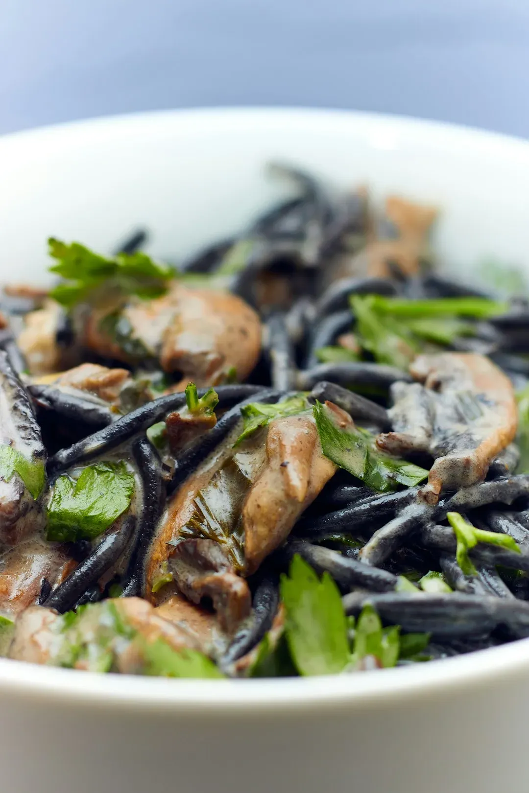 Which Type of Pasta Are You? (A Guide for All 12 Signs) – 24/7 Food Recipes