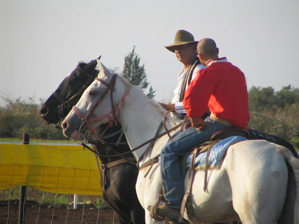 7 Zodiac Signs Who Are Natural Animal Whisperers - Animals Around The Globe