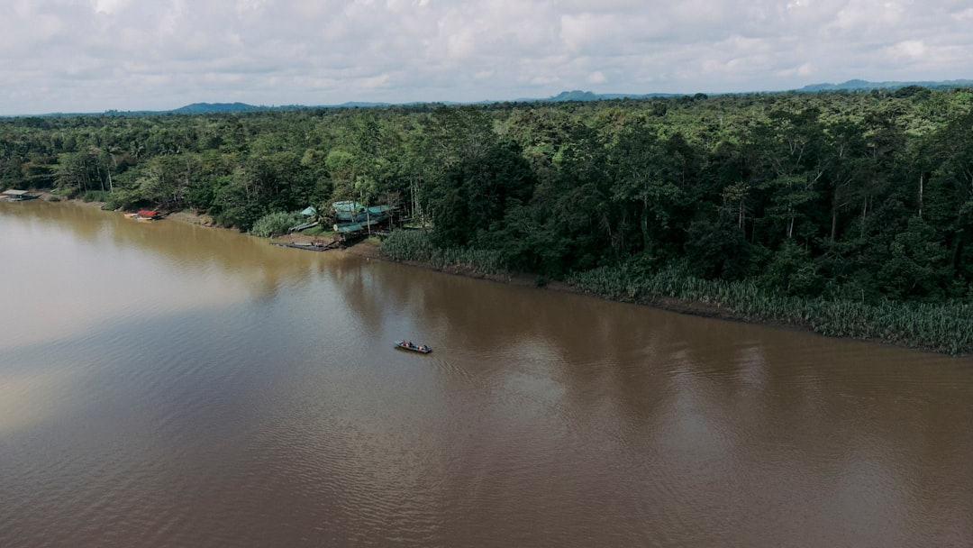 Why The Amazon Basin Controls Global Rainfall – Scientists Reveal ...