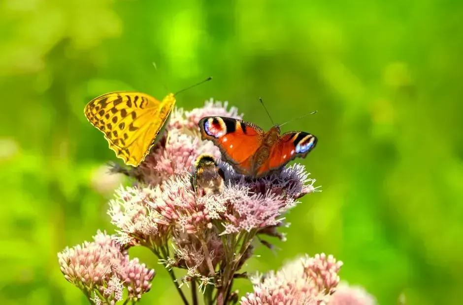 9 Environmental Changes Happening Right Now That Won’t Make the News ...