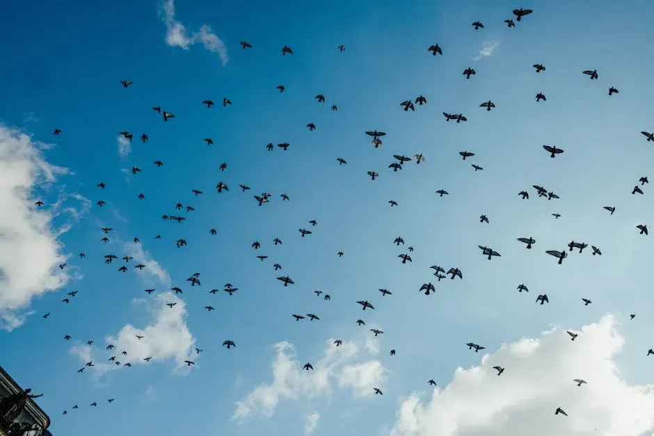 8 Signs a Major Storm Is Coming That Only Experienced Weather Watchers ...