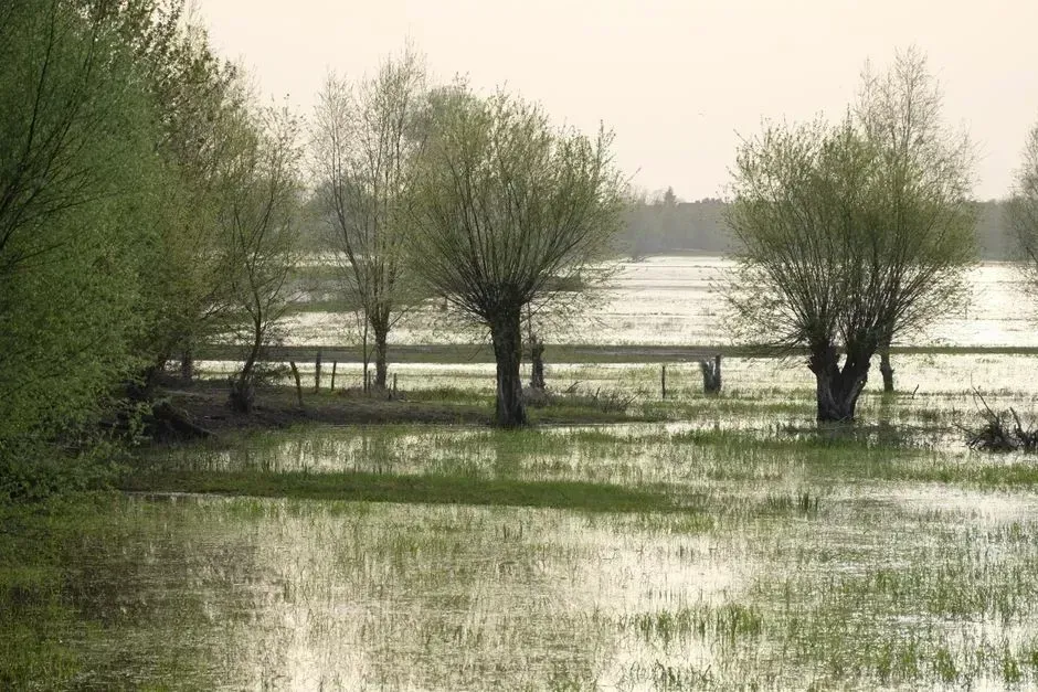 Dangerous Thunderstorms and Heavy Rainfall Set to Drench Central States ...