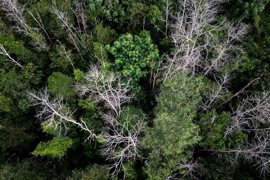 I Asked AI to Predict the Next Major Climate Catastrophe – Here is Its ...
