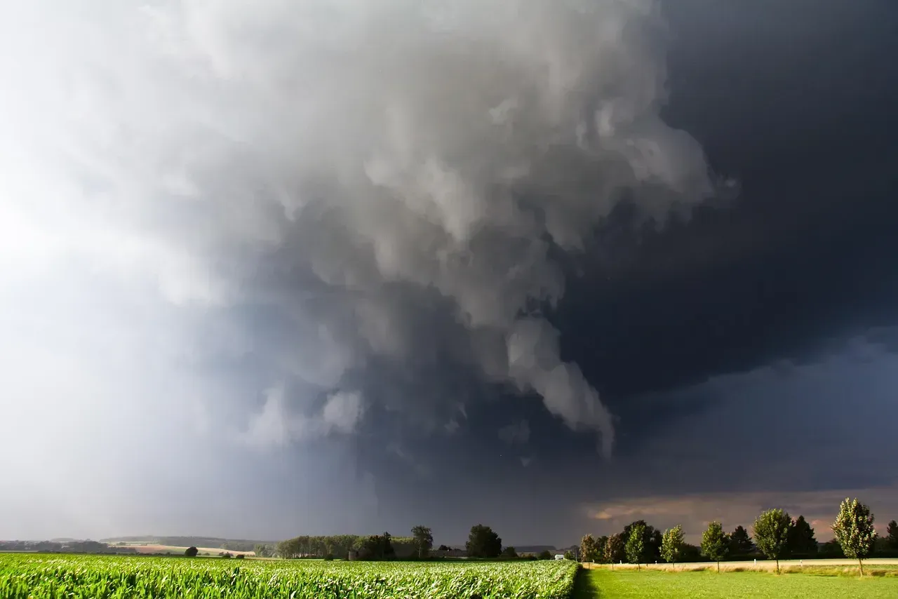 7 Tornado Warnings a Seasoned Storm Chaser Uses That Can Make a Crowd ...