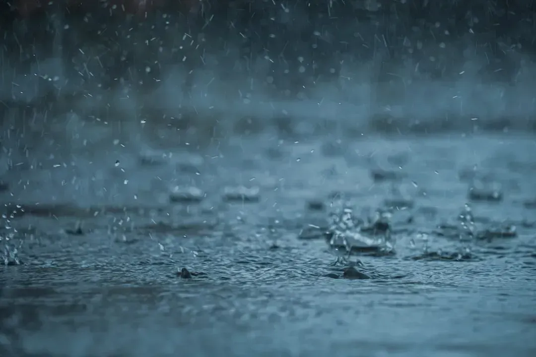 The 7 Weather Forecast Scams Meteorologists Say the Public Keeps ...