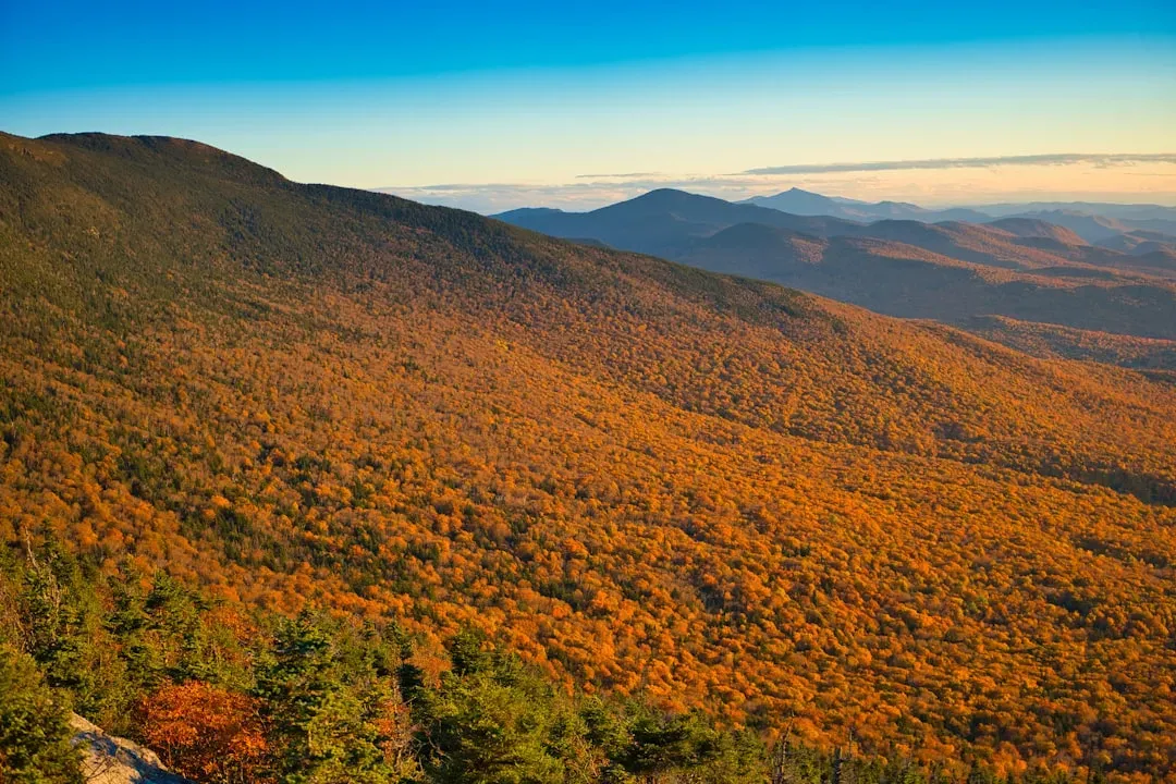 7 Unexpected Places In America Quietly Becoming Climate Safe Havens ...