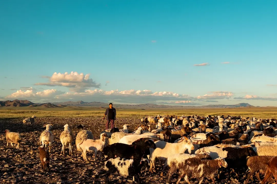 How Can Ancient Wisdom Guide Our Adaptation to a Changing Climate ...