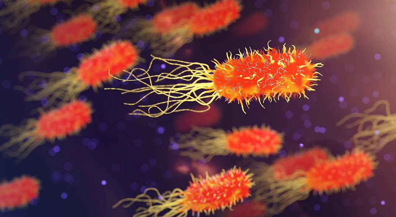 Shigella Emerges Prominently in Updated Foodborne Illness Estimates ...
