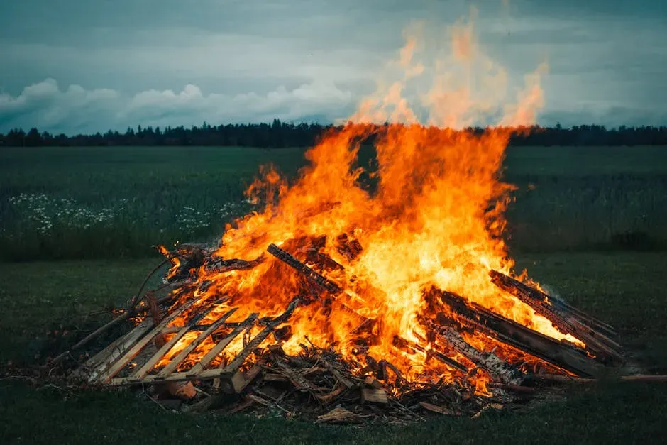 6 Backyard Burning Mistakes That Could Actually Be Illegal - Our ...