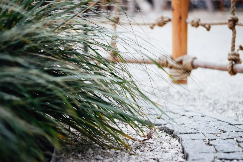 How to Create a Beautiful, Low-Maintenance Gravel Garden That Thrives ...