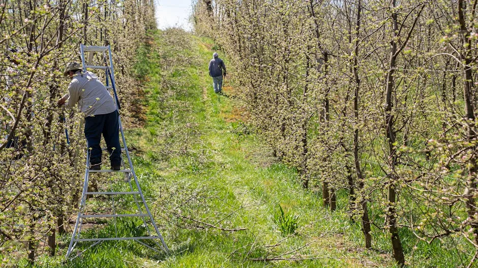 The Essential Mid-Summer Pruning Ritual Most Gardeners Skip - The ...