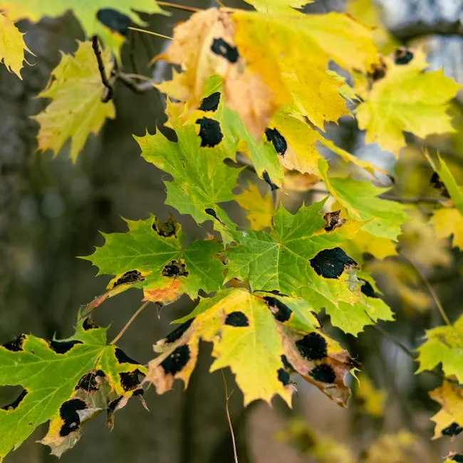 How to Identify and Fix Iron Deficiency in Acid-Loving Garden Plants ...