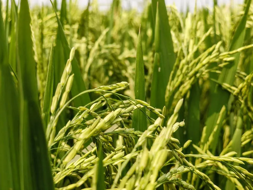 Allelopathy: The Secret Chemical Warfare Happening Beneath Your Garden ...