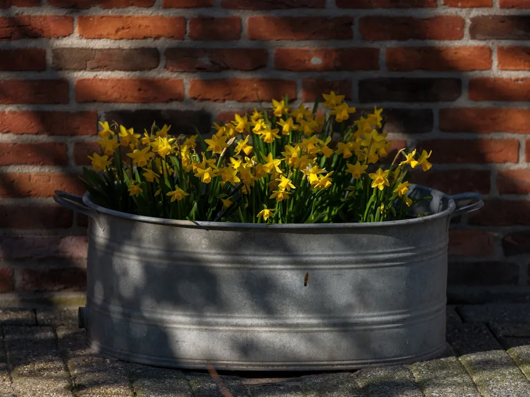 How Bucket Gardening Lets You Grow Massive Amounts of Food in Tiny ...