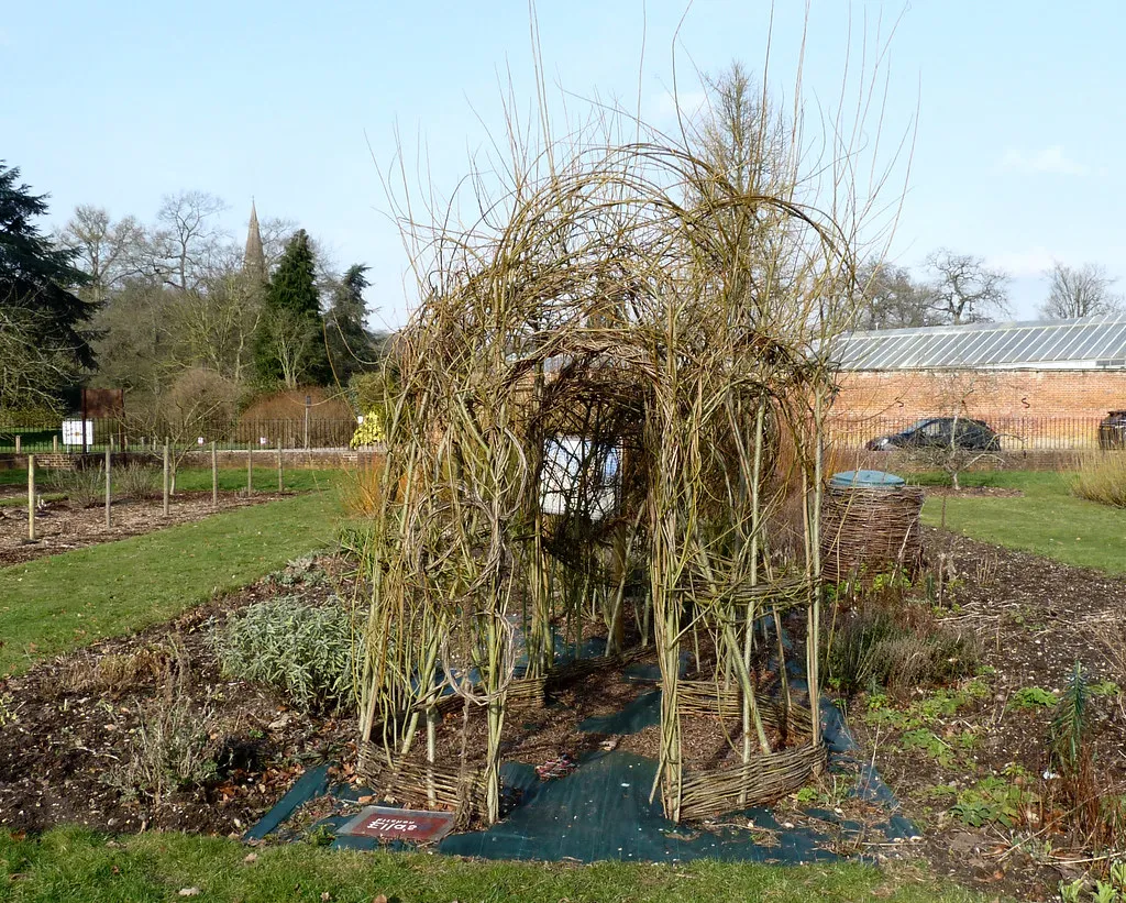 How to Build a Living Willow Fence for a Natural, Evolving Garden ...
