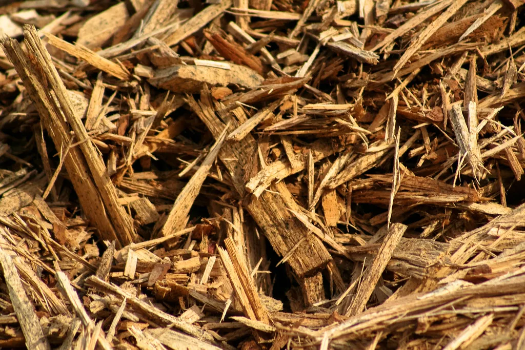 How to Use Free Wood Chips to Drastically Reduce Your Weeding Next ...