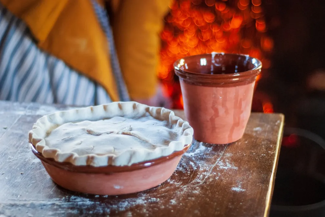 How to Use Foil Pie Pans to Stop Birds From Stealing Your Ripening ...