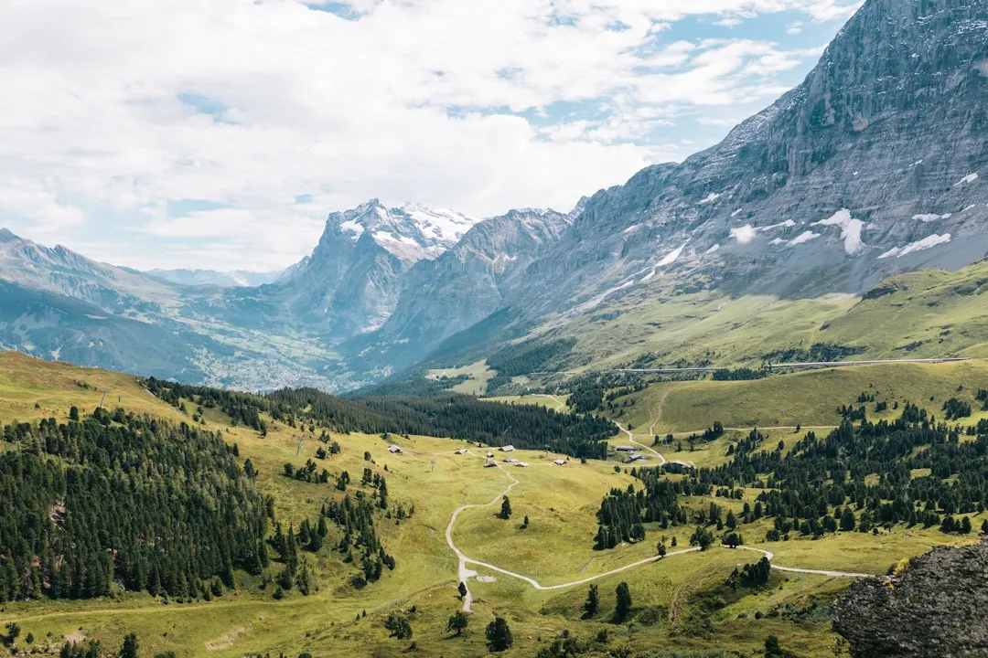 Escaping to the High Alps: Discovering Switzerland's Lush Summer Trails ...