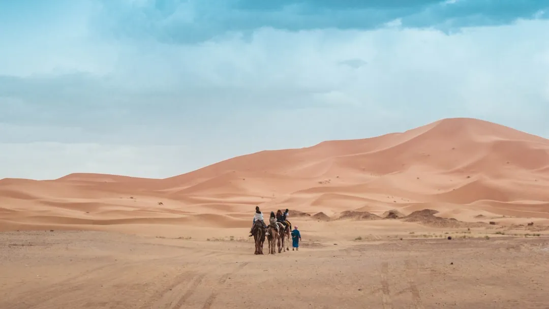 Southern California Families Are Discovering This Cheap Desert Oasis ...