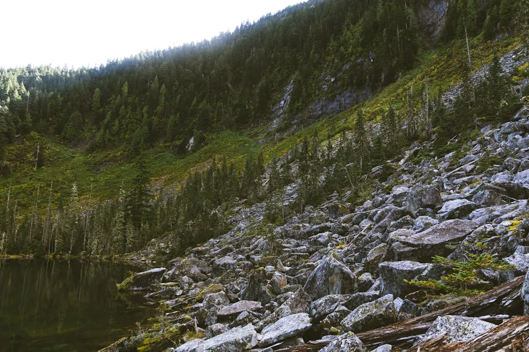 Washington State Road Trippers Are Obsessed With This Scenic Highway ...